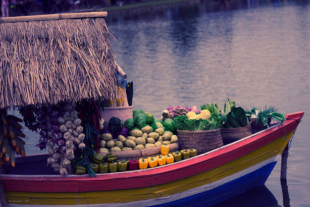 Bandung – PSG Vacation